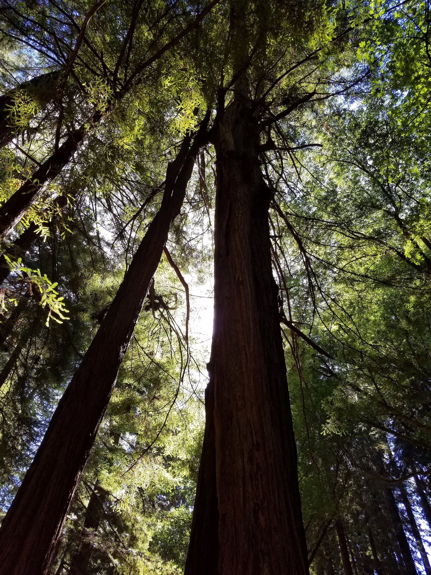 About – lor studios